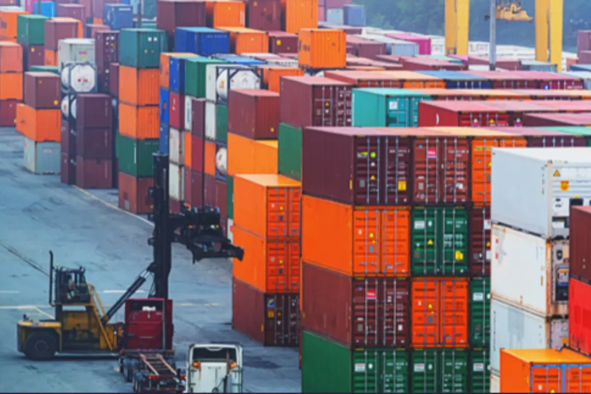 Terminal Portuario de Guayaquil: Un 2024 destacado con más de 801.000 ...